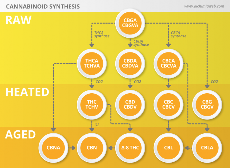 Difference of Cannabinoid Compounds | Arch Advanced Pain Management